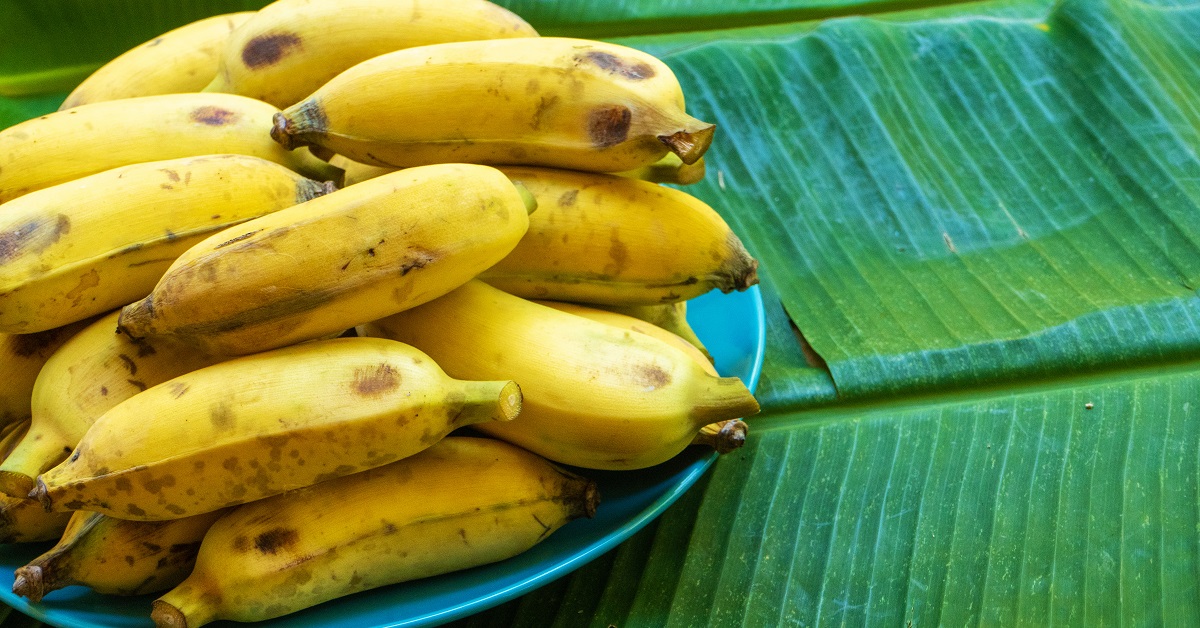 Mit lehet kezdeni a túlérett banánnal?